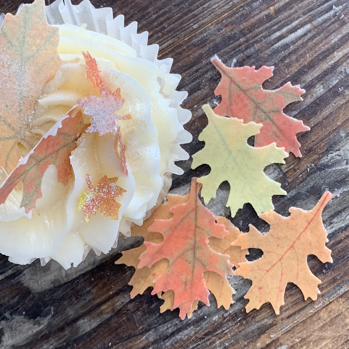 Edible Medium Autumn Leaves – Sugar Art Supply